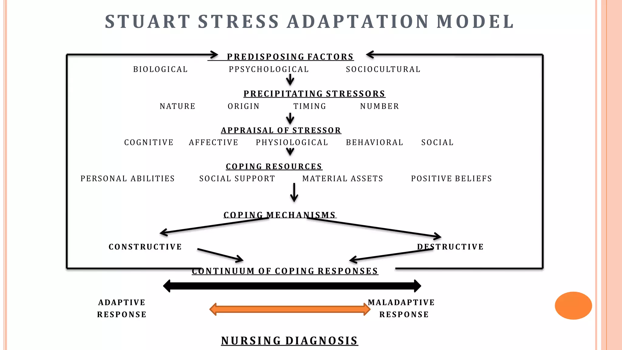 STRESS AND ADAPTATION | PPTX