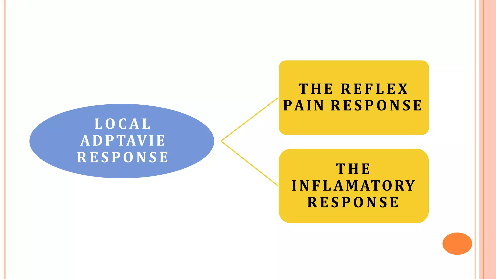 STRESS AND ADAPTATION | PPTX