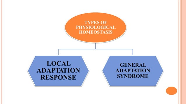 STRESS AND ADAPTATION | PPTX | Mental Health | Diseases and Conditions