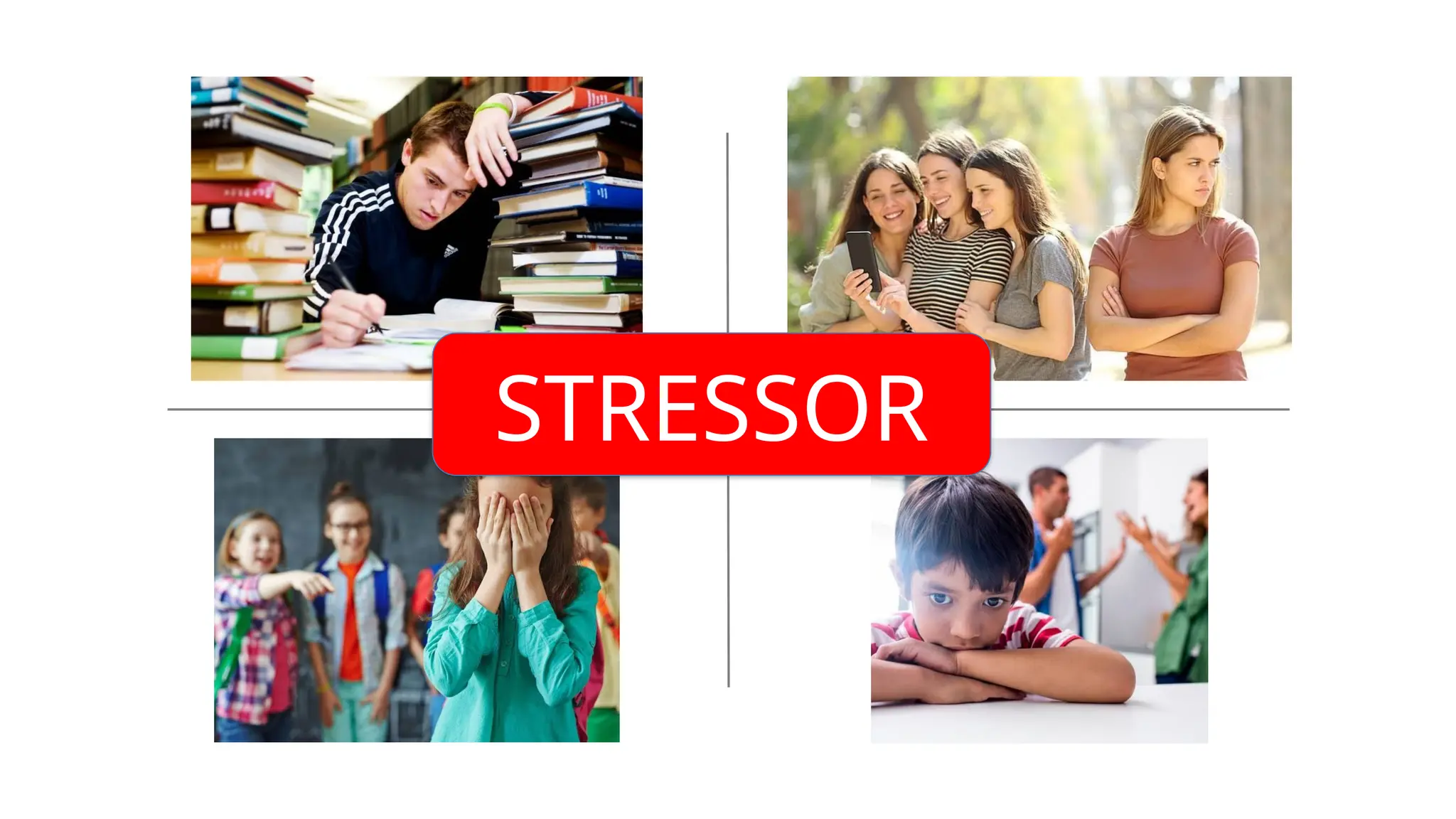 presentation about Stress_and_Bullying_Grade5.pptx