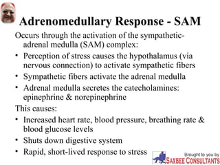 Stress and coping | PPT