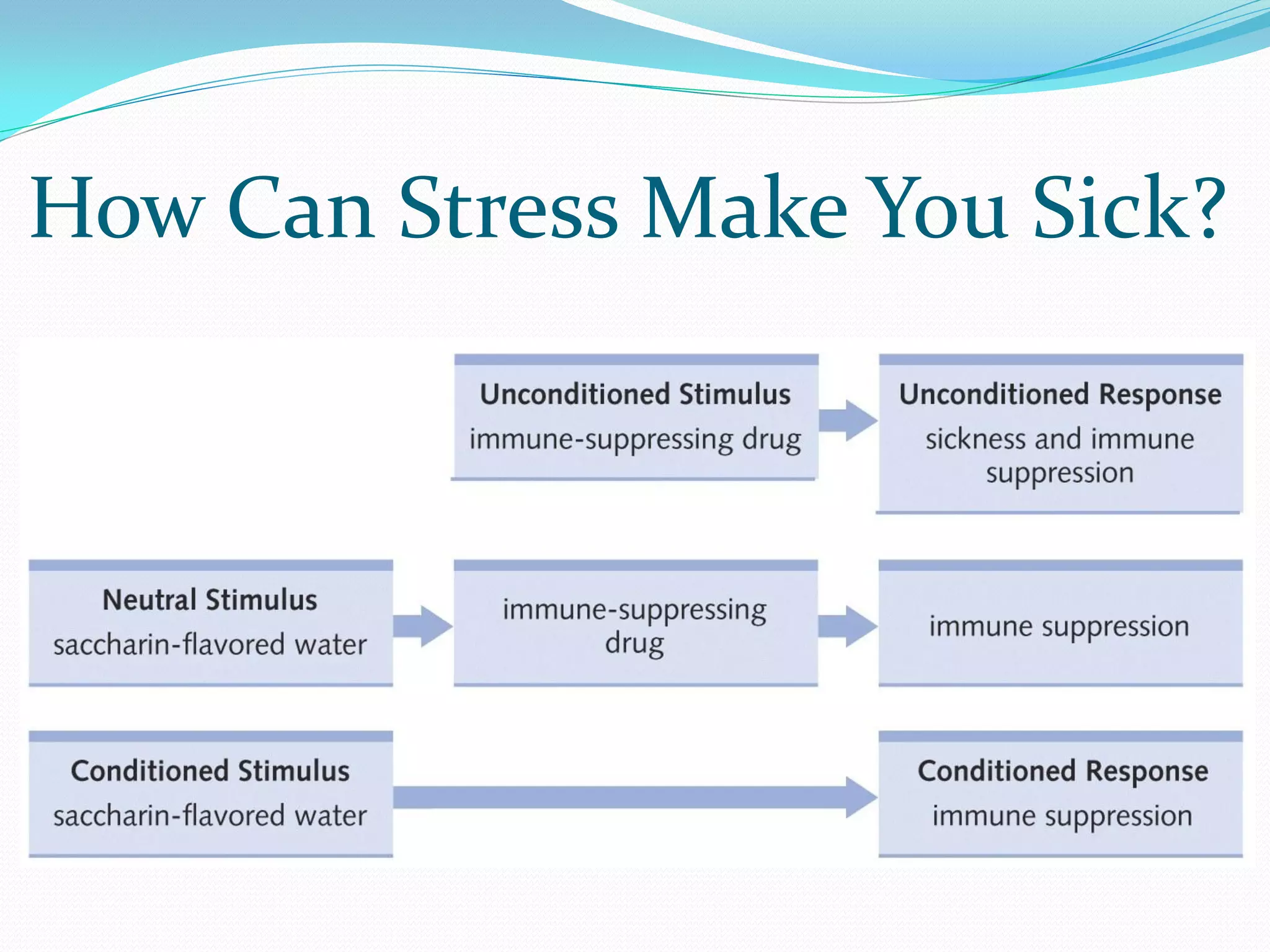 Lecture 8: Stress and illness - Dr. Reem AlSabah | PDF