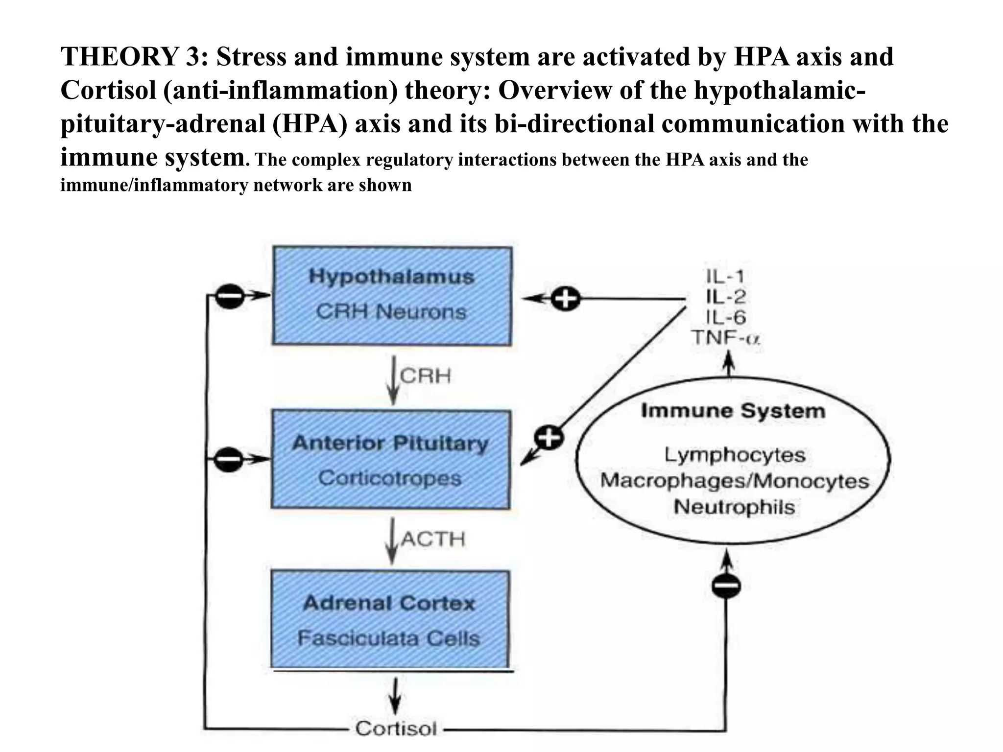 Stress and immune system | PPTX