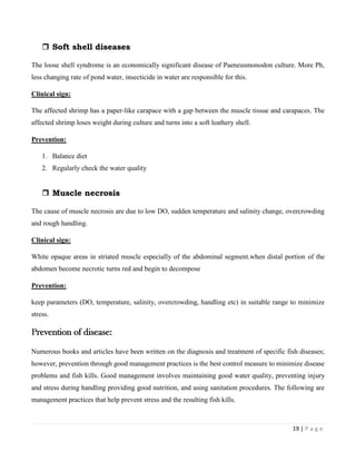 Stress and infectious disease final | PDF