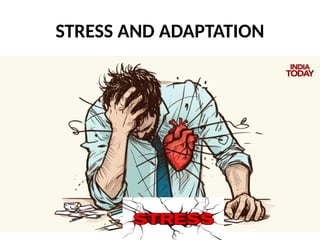 Stress And Its Adaptations Pptx Stressors Pptx