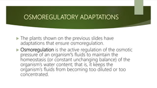 Stress and osmoregulation in plants(edited) | PPTX