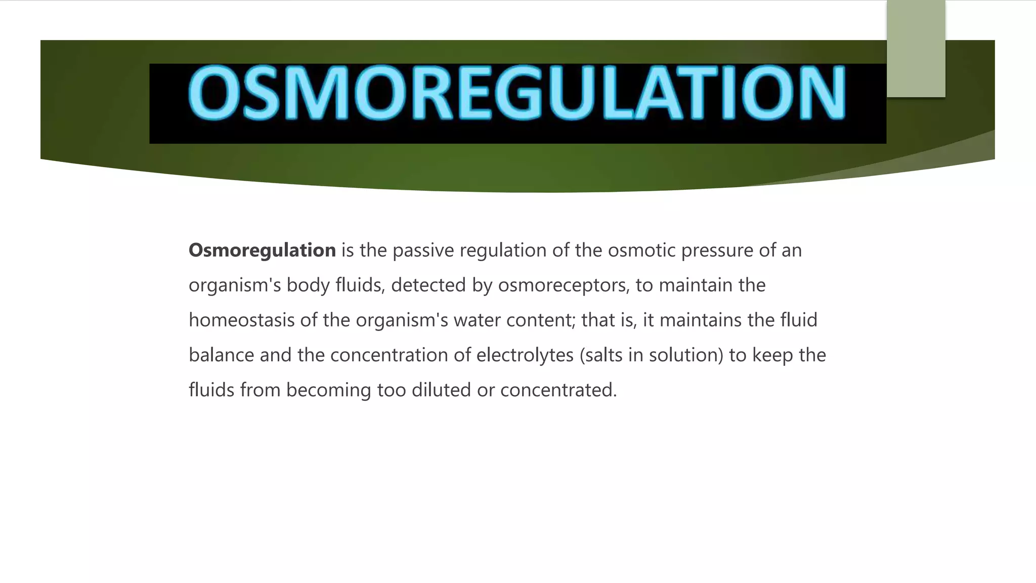 Stress and osmoregulation in plants | PPTX