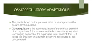Stress and osmoregulation in plants | PPTX