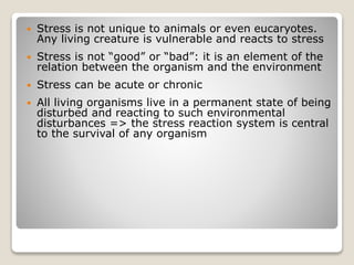 Stress and Physical Activity | PPTX