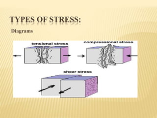 Stress and strain | PPTX