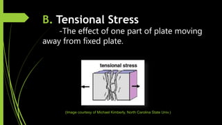 Stress and strain | PPT