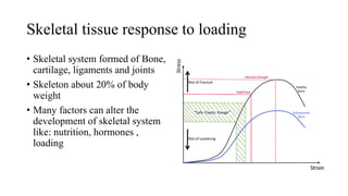 Stress and strain | PPT