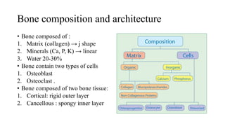 Stress and strain | PPT