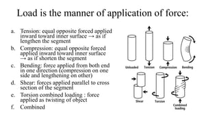 Stress and strain | PPT