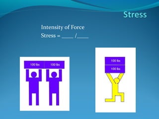 Stress and strain section c | PPT