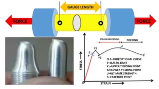 Stress and strain diagram | PPTX | Physics | Science