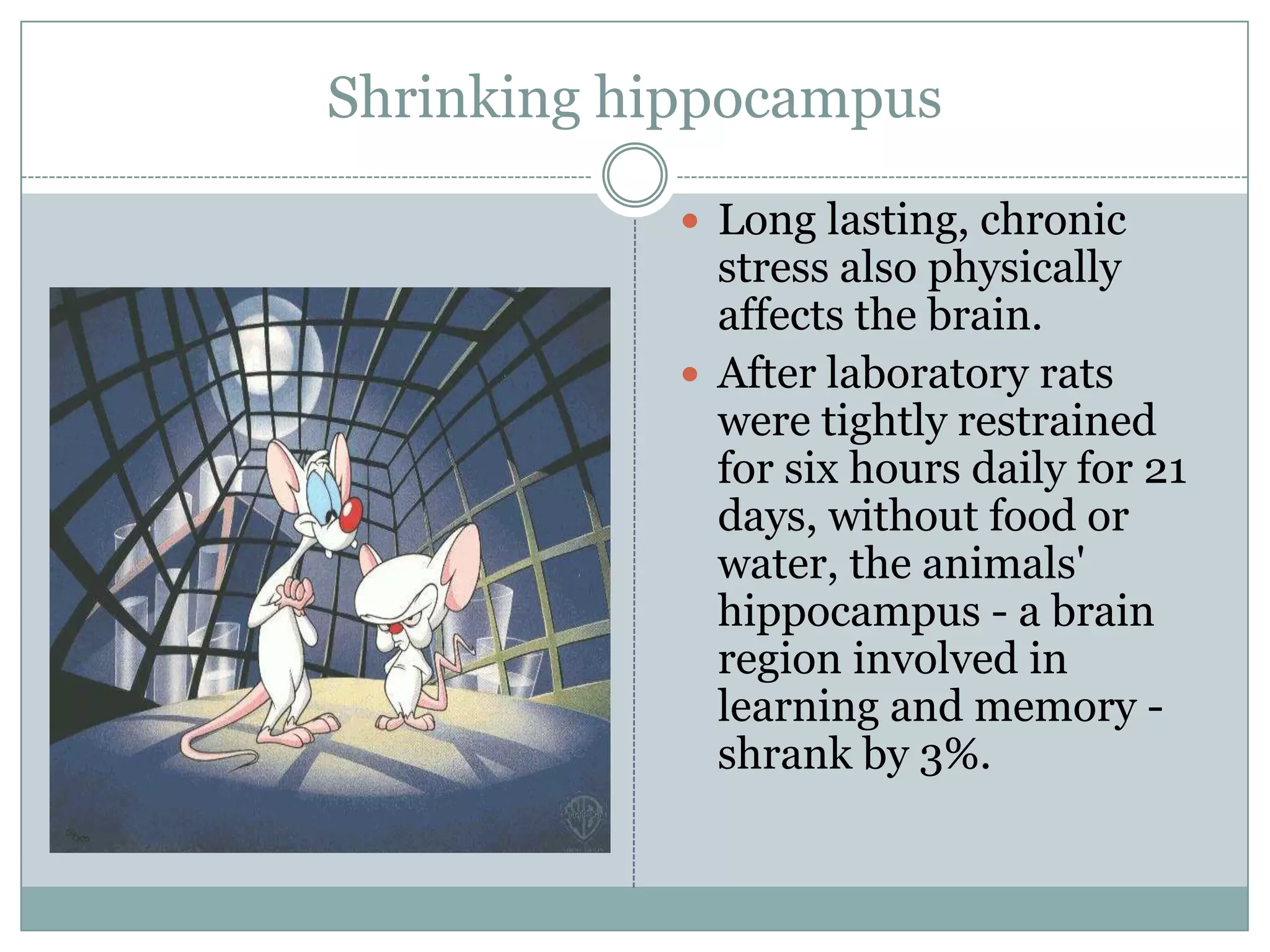 Stress and the brain | PPTX