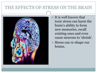 Stress and the brain | PPTX