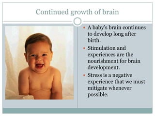 Stress and the brain | PPTX