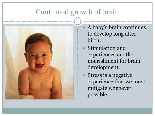 Stress and the brain | PPTX | Brain and Nervous System Disorders ...