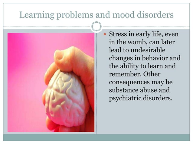 Stress and the brain | PPTX | Brain and Nervous System Disorders ...