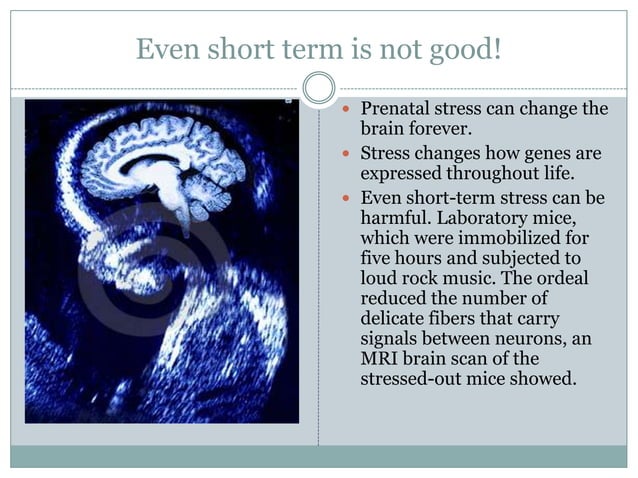 Stress and the brain | PPTX | Brain and Nervous System Disorders ...