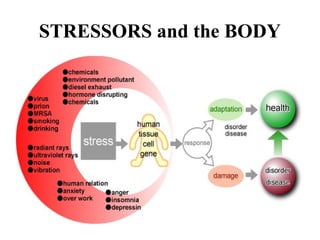 Stress and the human body | PPT