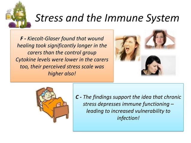 Stress and the immune system | PPTX
