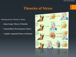 Stress and theories of stress | PPTX