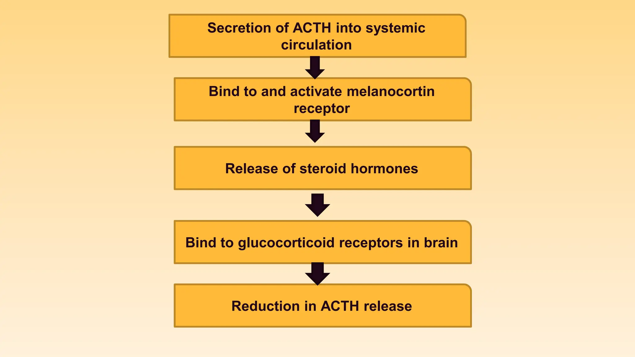 biology of stress : hormonal regulation | PPTX