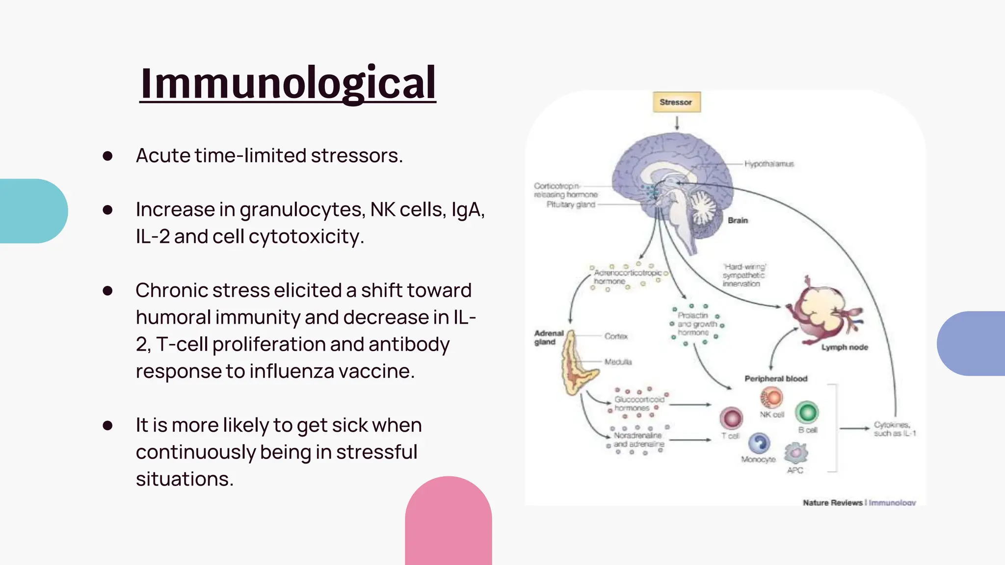 biology of stress : hormonal regulation | PPTX
