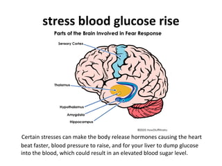 Stress Blood Glucose Rise | PPT