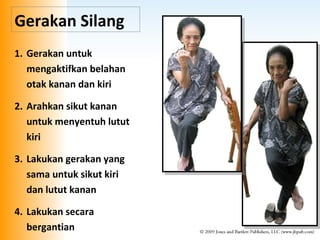 Stress dan adaptasi | PPT