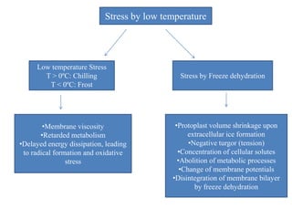 Stress due to temperature physiological and biochemical responses of ...