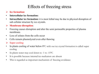 Stress due to temperature physiological and biochemical responses of ...