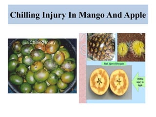 Stress due to temperature physiological and biochemical responses of ...