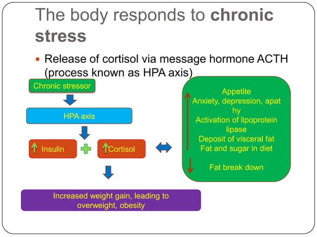 Stress eating & obesity | PPTX | Endocrine and Metabolic Diseases ...