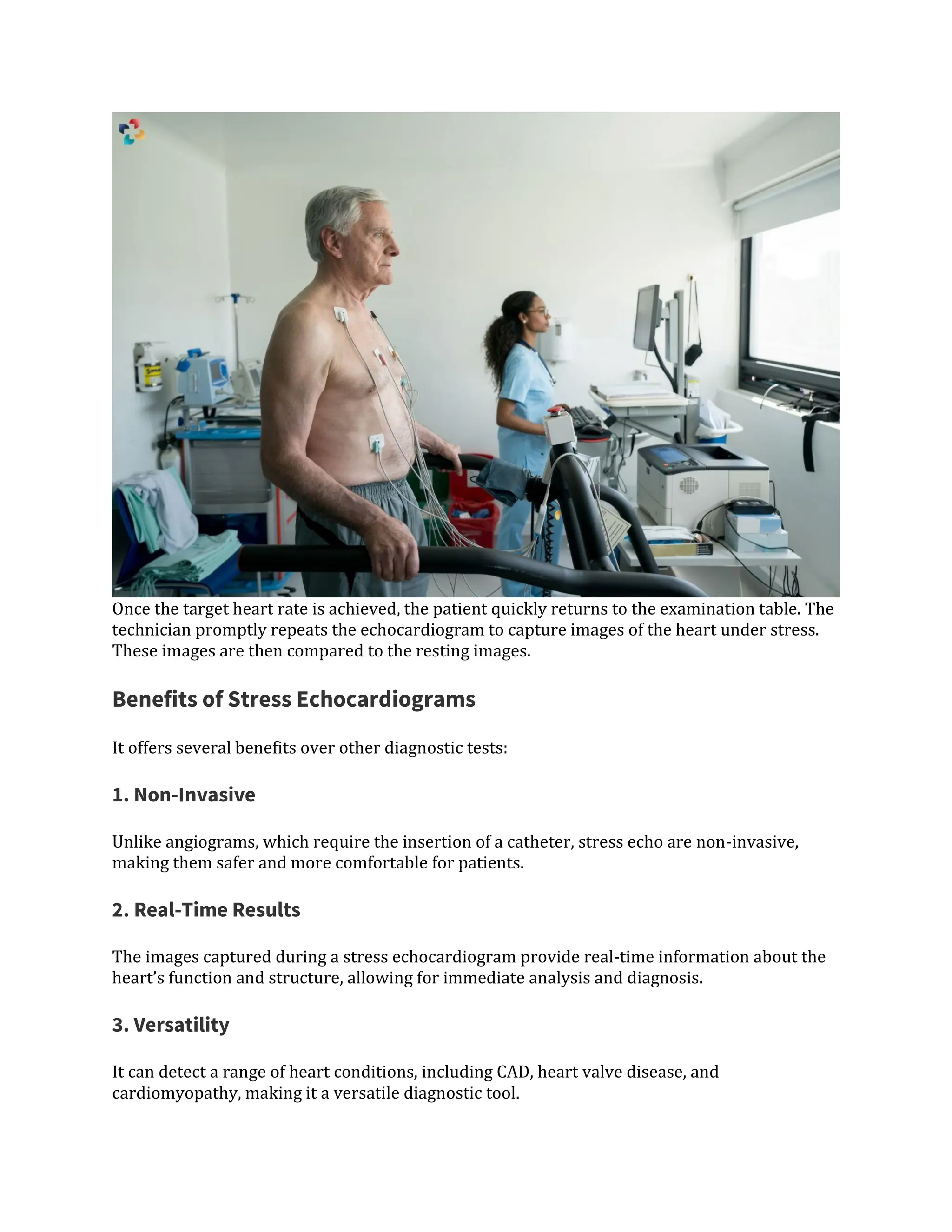 Stress Echo: Importance, Procedure, Benefits, and Risks | The ...