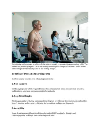 Stress Echo: Importance, Procedure, Benefits, and Risks | The ...