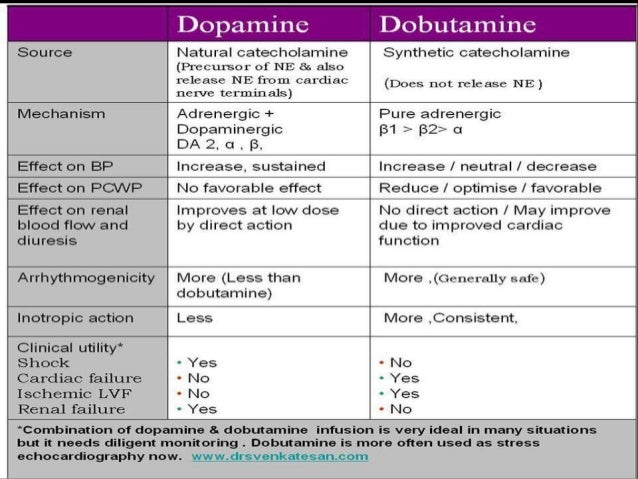 Stress echocardiography