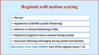 Stress Echocardiography | PDF