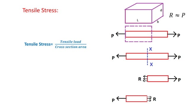 Stresses and strains p | PPT