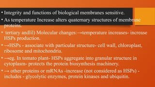 Molecular physiology of Plant. stress that is catagories into Abiotic ...