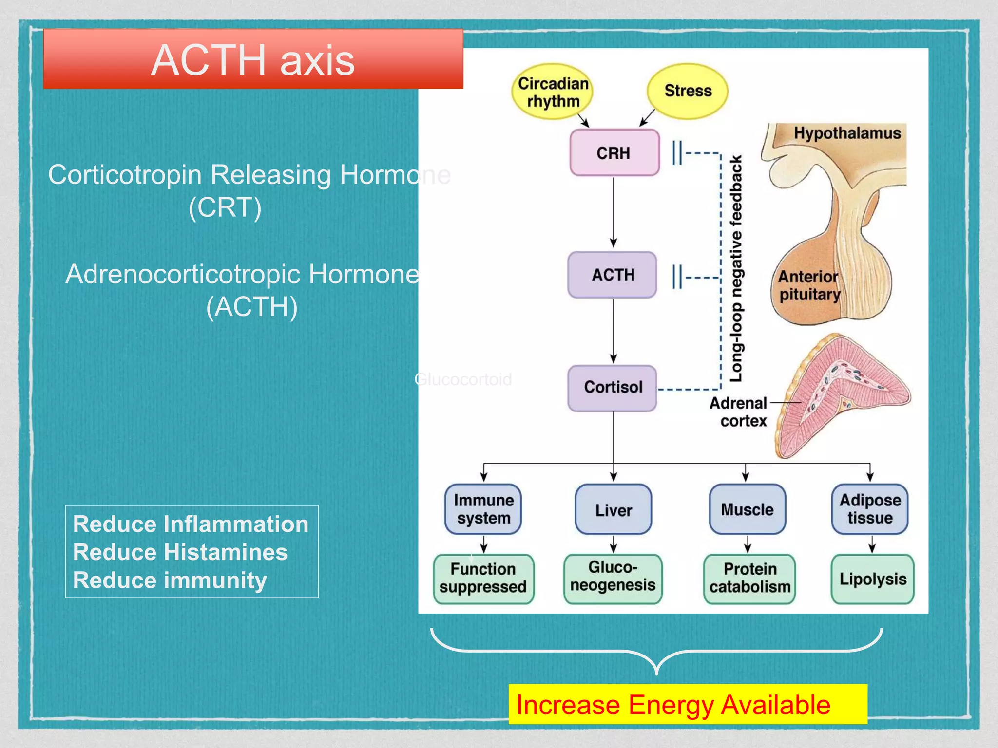 Stress (Physiology) | PPTX