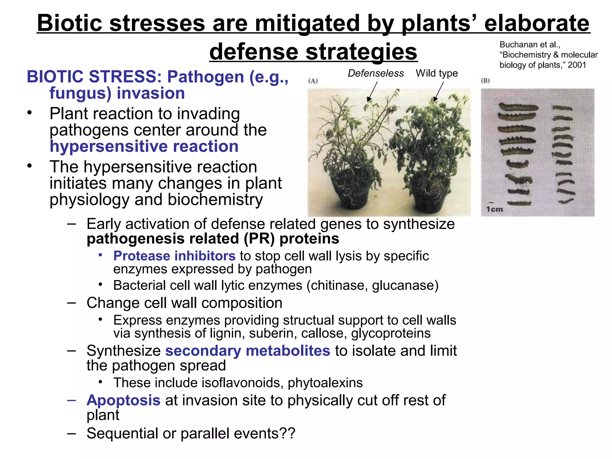 Stress in plants | PPT