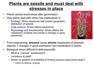 Stress in plants | PPT