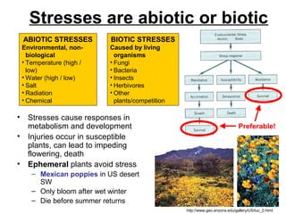 Stress in plants | PPT