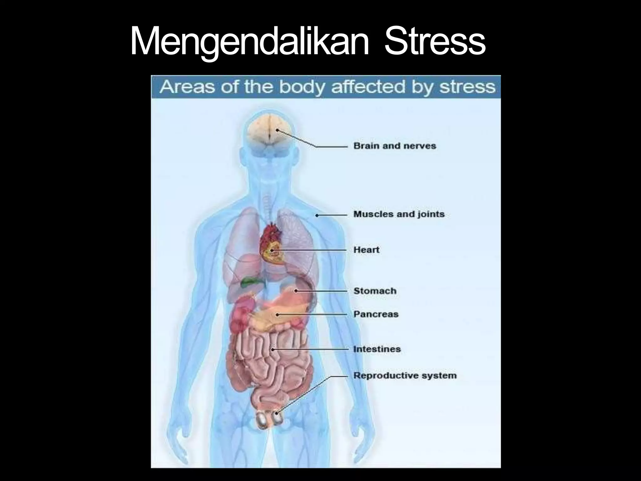 Stress management | PPTX