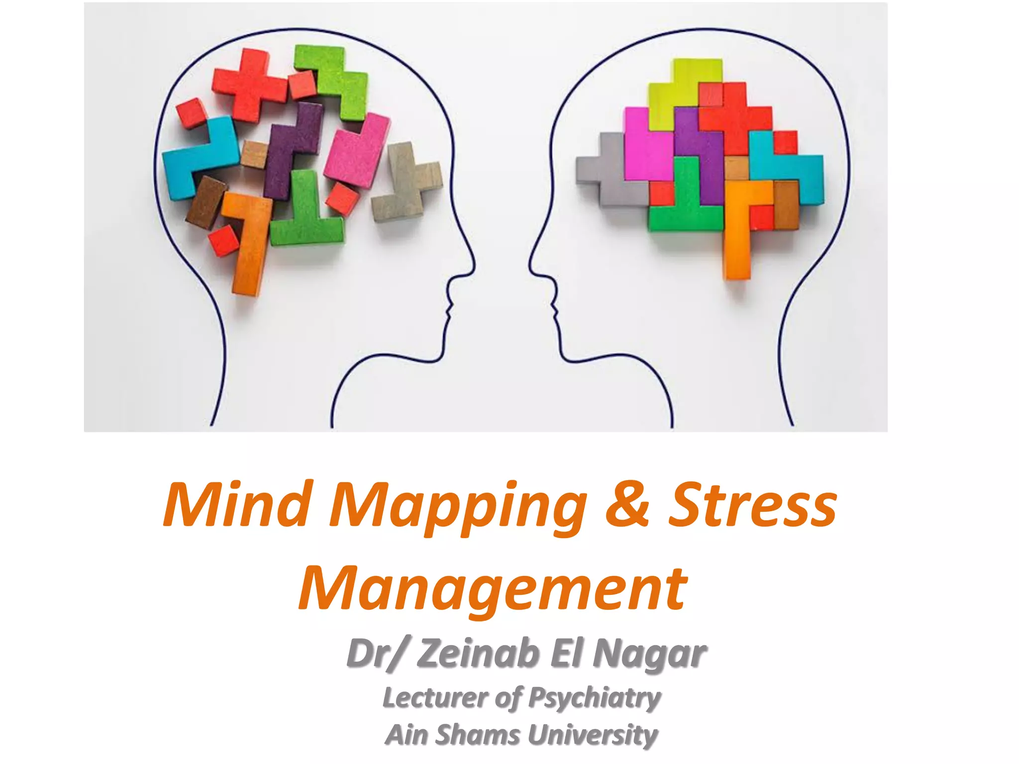 Stress Management and Brain Mapping | PDF