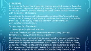 Stress Management.pptx